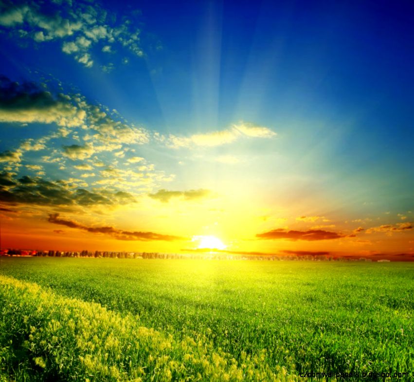 Beautiful Sunset Background | Zoom Wallpapers