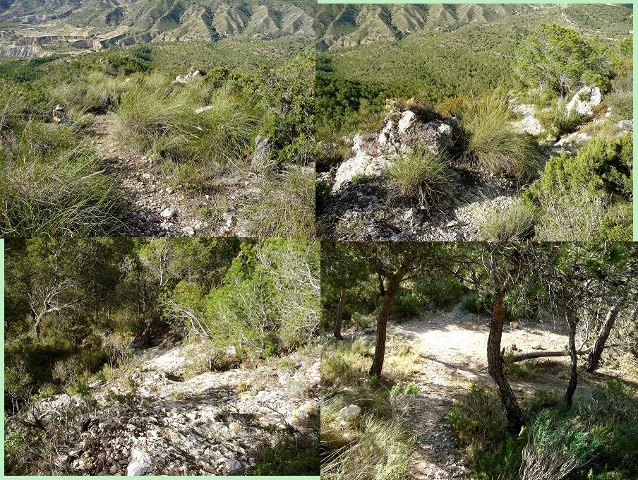 GEOELX: CERRO DEL AGUDO