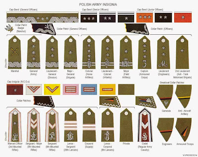 Minor Nations Militaries 1914-45: POLISH ARMY
