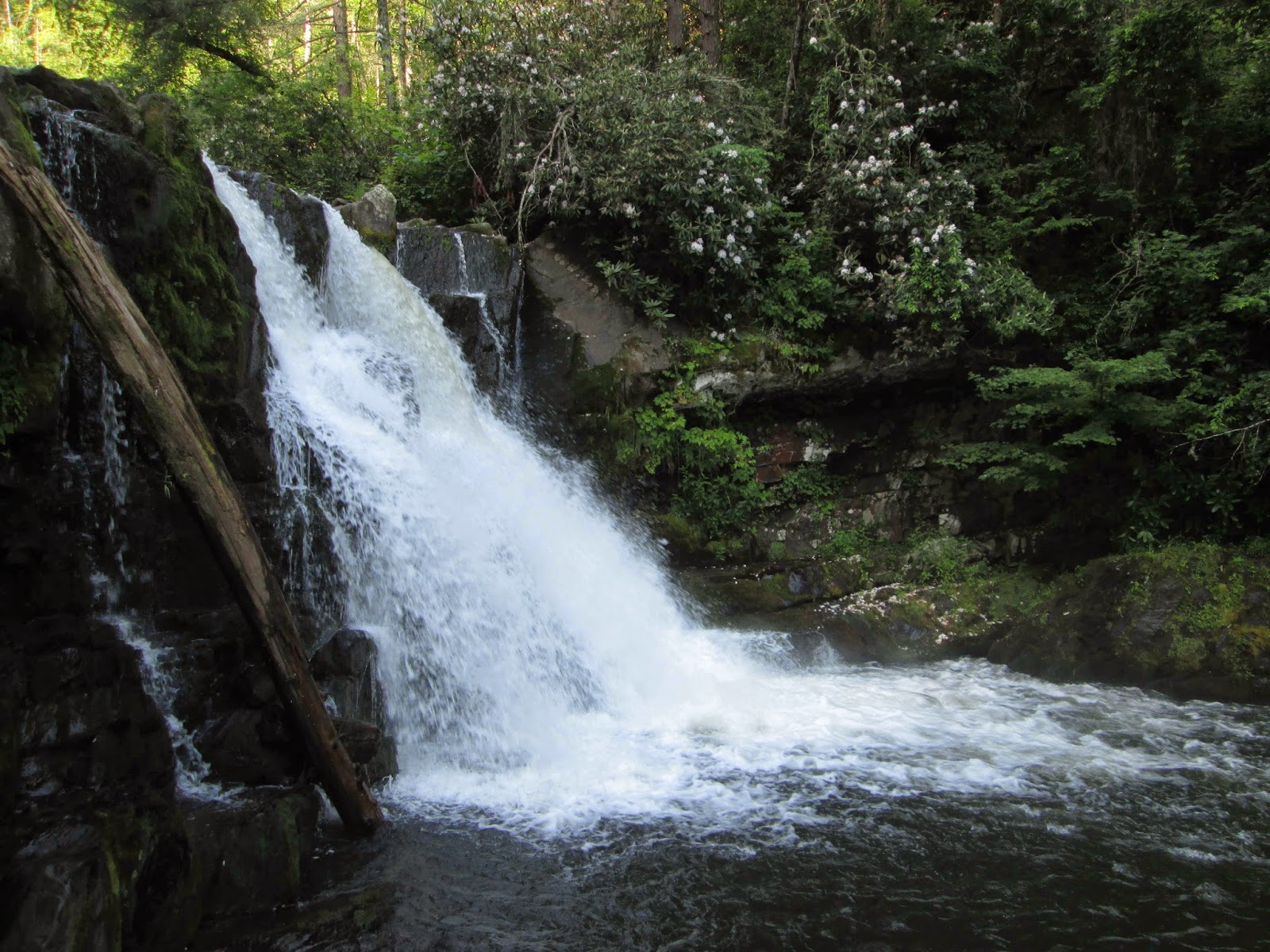 Hikertrash 900: Abrams Falls