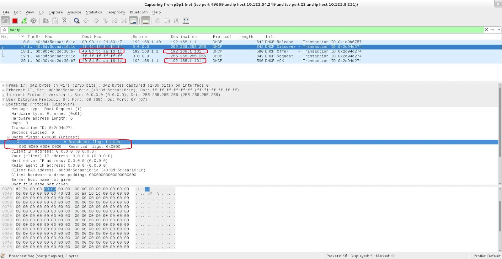 Active Hub 2: DHCP Broadcast - Notes