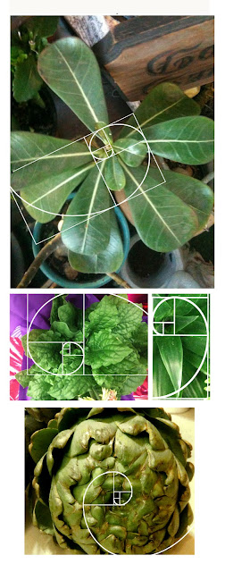 The Helpful Art Teacher: THE SPIRAL