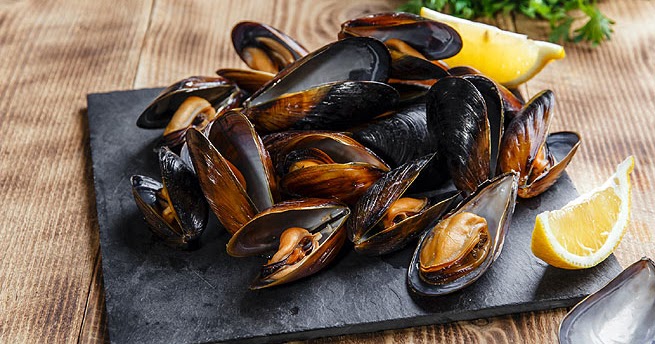 Productos acuicultura, miticultura y pesca: Todo sobre el cultivo del ...