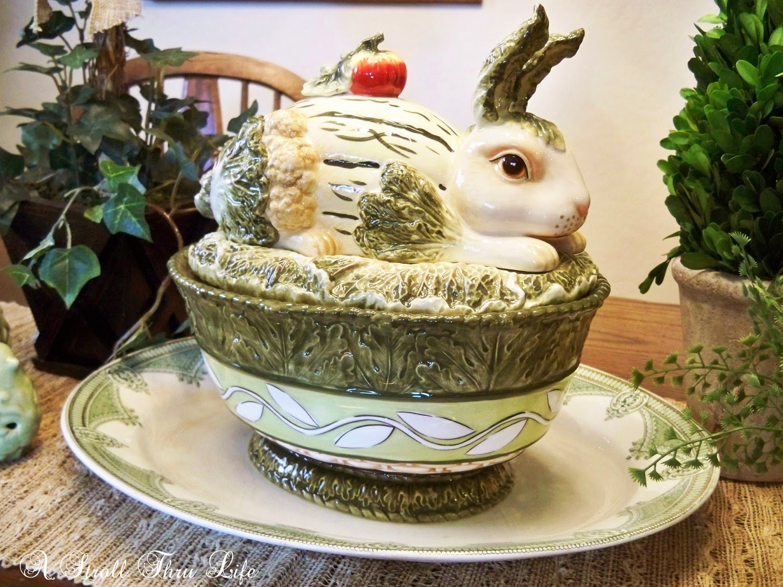 Spring Is Busting Out - A Stroll Thru Life