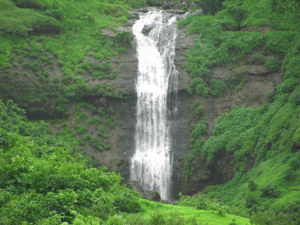 PALASDHARI - Amazing Maharashtra