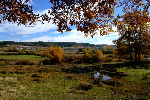 Diccionario de RENEDO DE VALDERADUEY