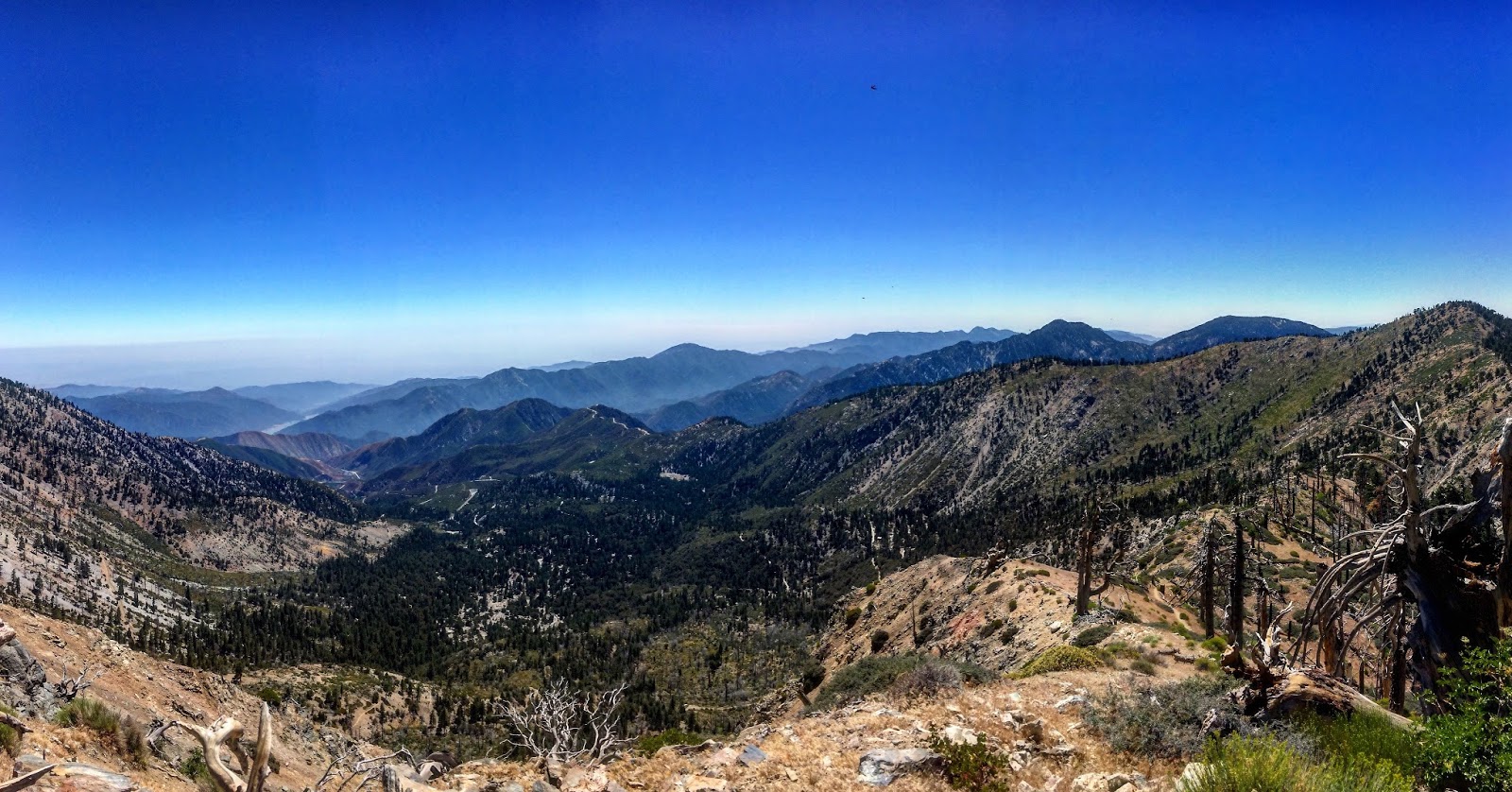 Enjoy!: 2016 Angeles Crest 100