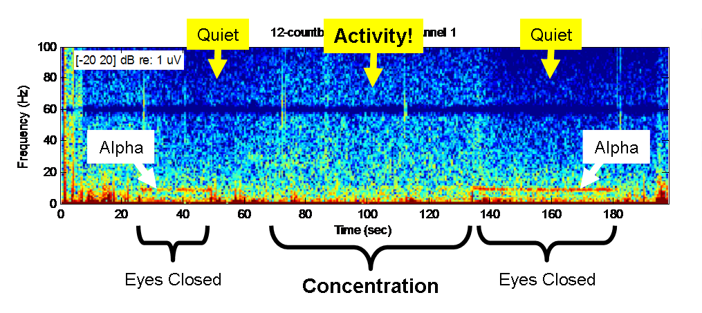 EEG Hacker: Detecting Concentration