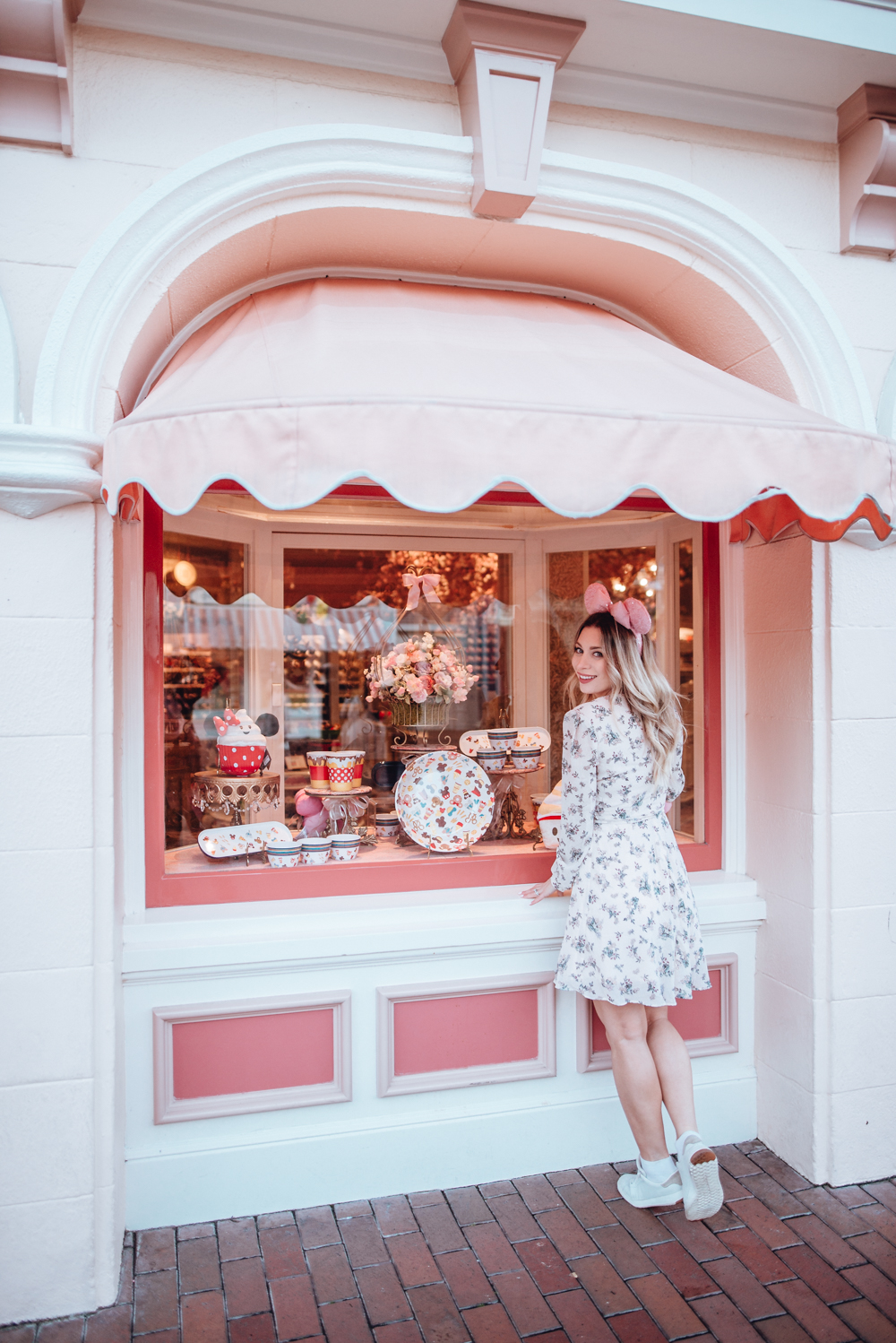 3 Days At Disneyland - A Complete Overview | La Petite Noob | A Toronto ...