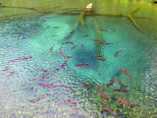 Misteri, Sejarah dan Keindahan Rambut Monte Blitar - Pariwisataloka ...