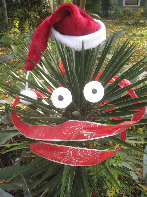 Tropical Texana: I MADE A YUCCA CLAUS FOR YOU!