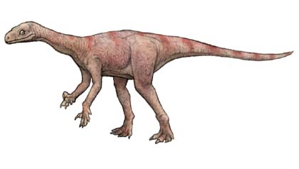Palaeos, la historia de la Vida en la Tierra: F.A.Q. Nyasasaurus