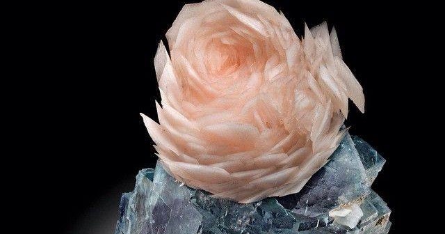 Rose Calcite: Flower Calcite | Geology In