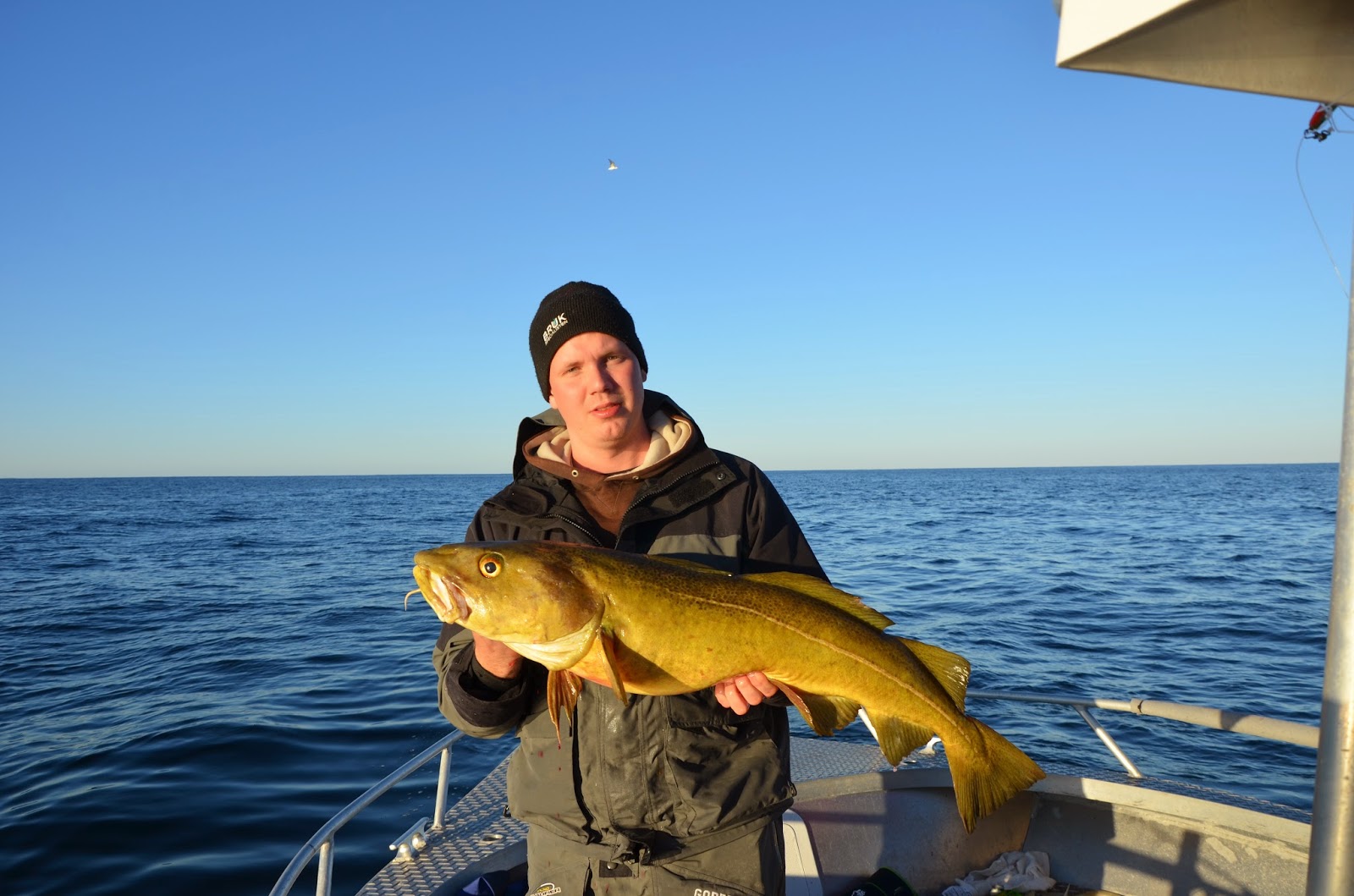 Fiske för fan!: Fiske i Hitra, Norge, höst 2014