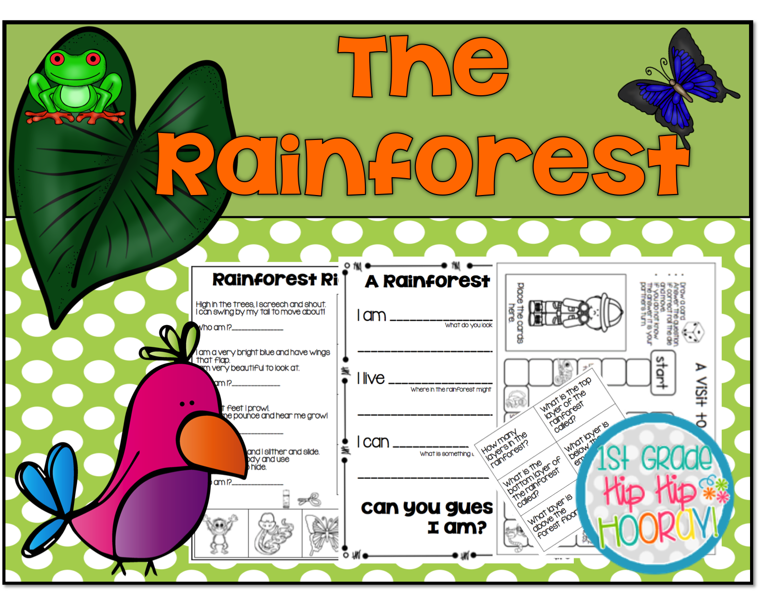 1st Grade Hip Hip Hooray!: A Rainforest Adventure for the Primary Child