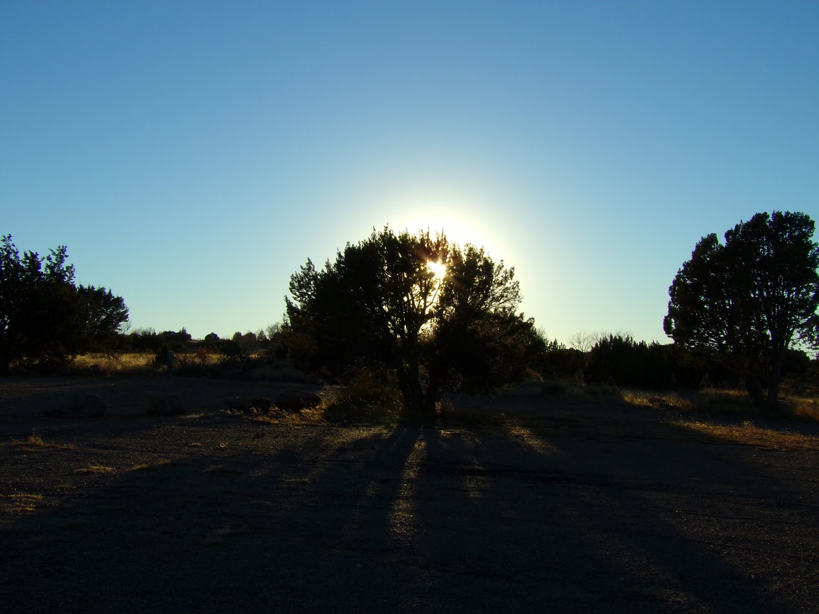 Sumner Lake State Park, Fort Sumner, New Mexico