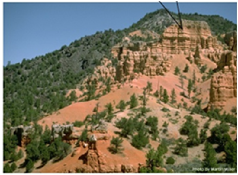 geografi lingkungan: Struktur Geologi Sesar