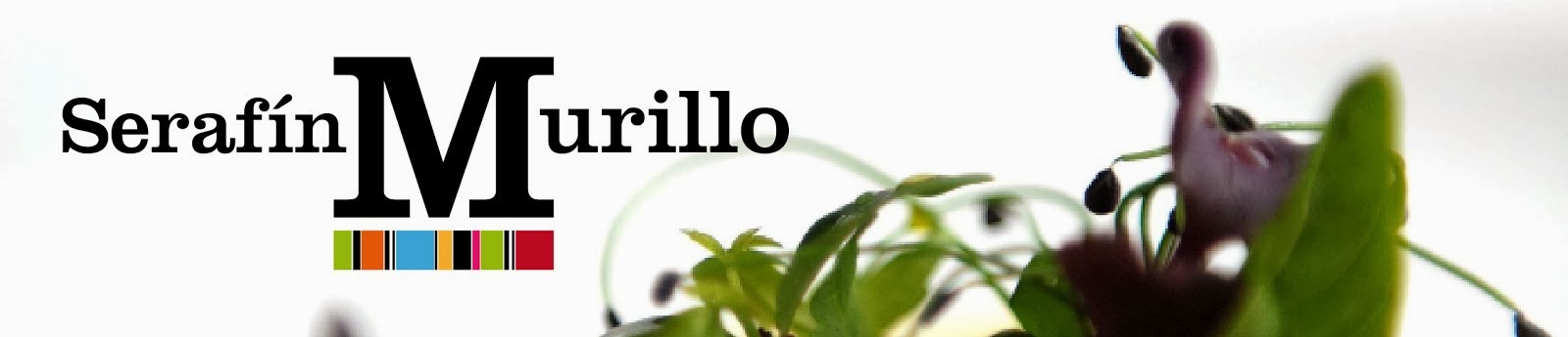 Serafín Murillo