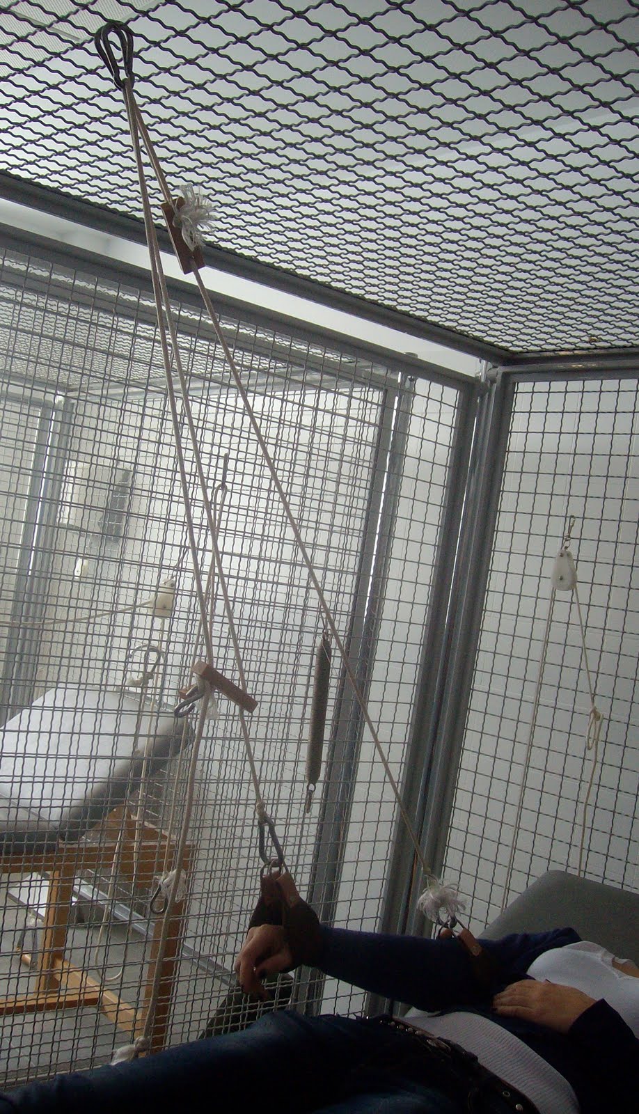 Grado Fisioterapia UAL