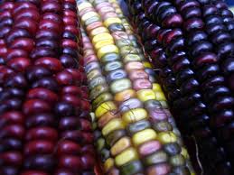 threads of the spiderwoman: Corn Mother and Collaboration