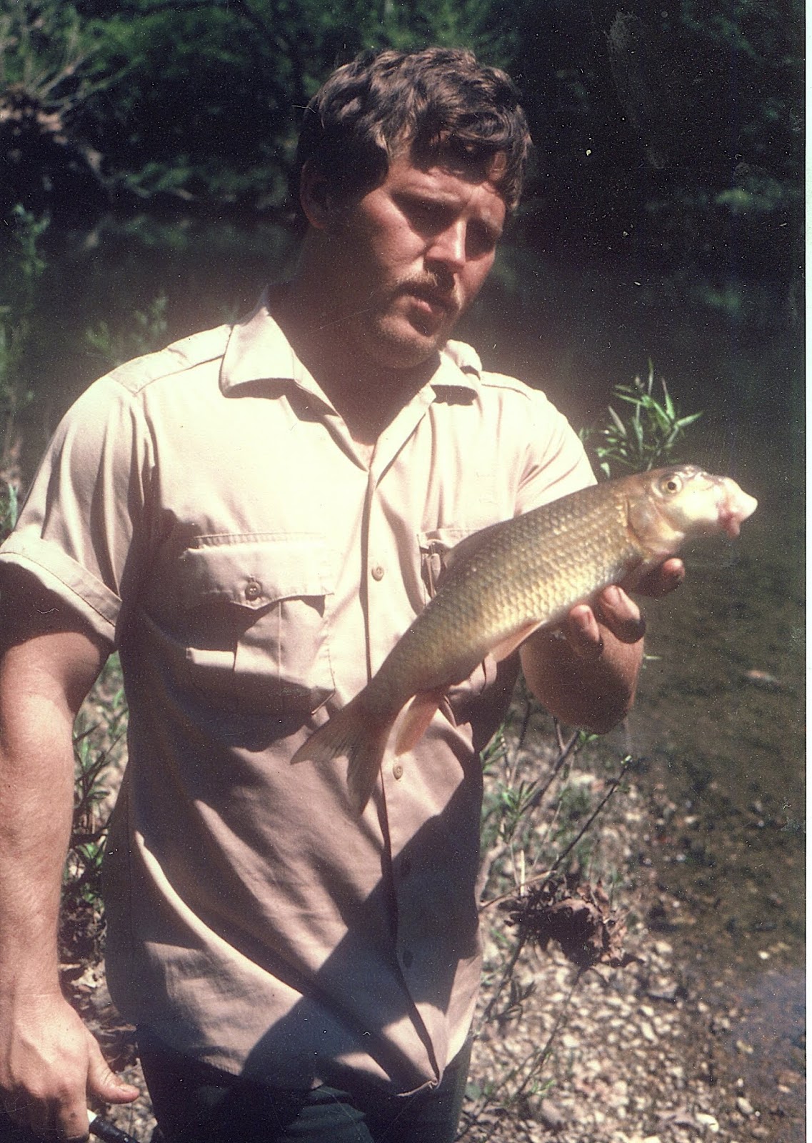 Ozark Mountain Suckers