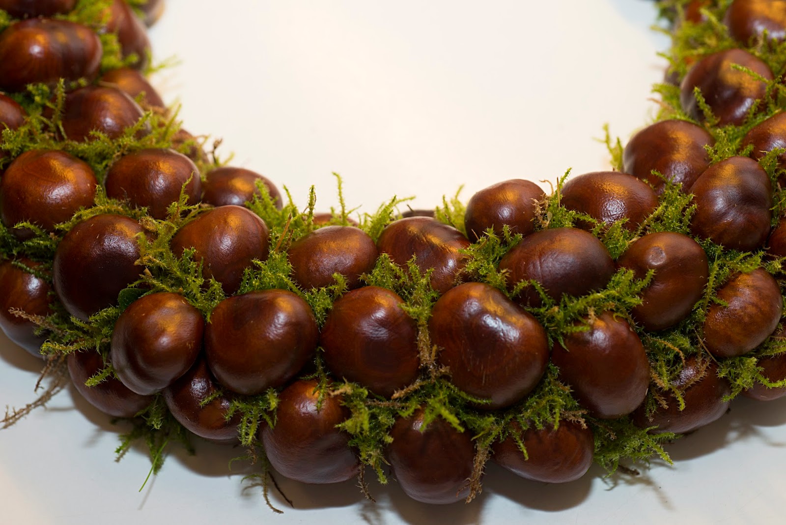 Mit grønne univers: Kastanie krans