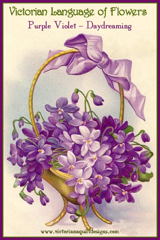 Benita Skinner's Creative Space: Violets & Ivy