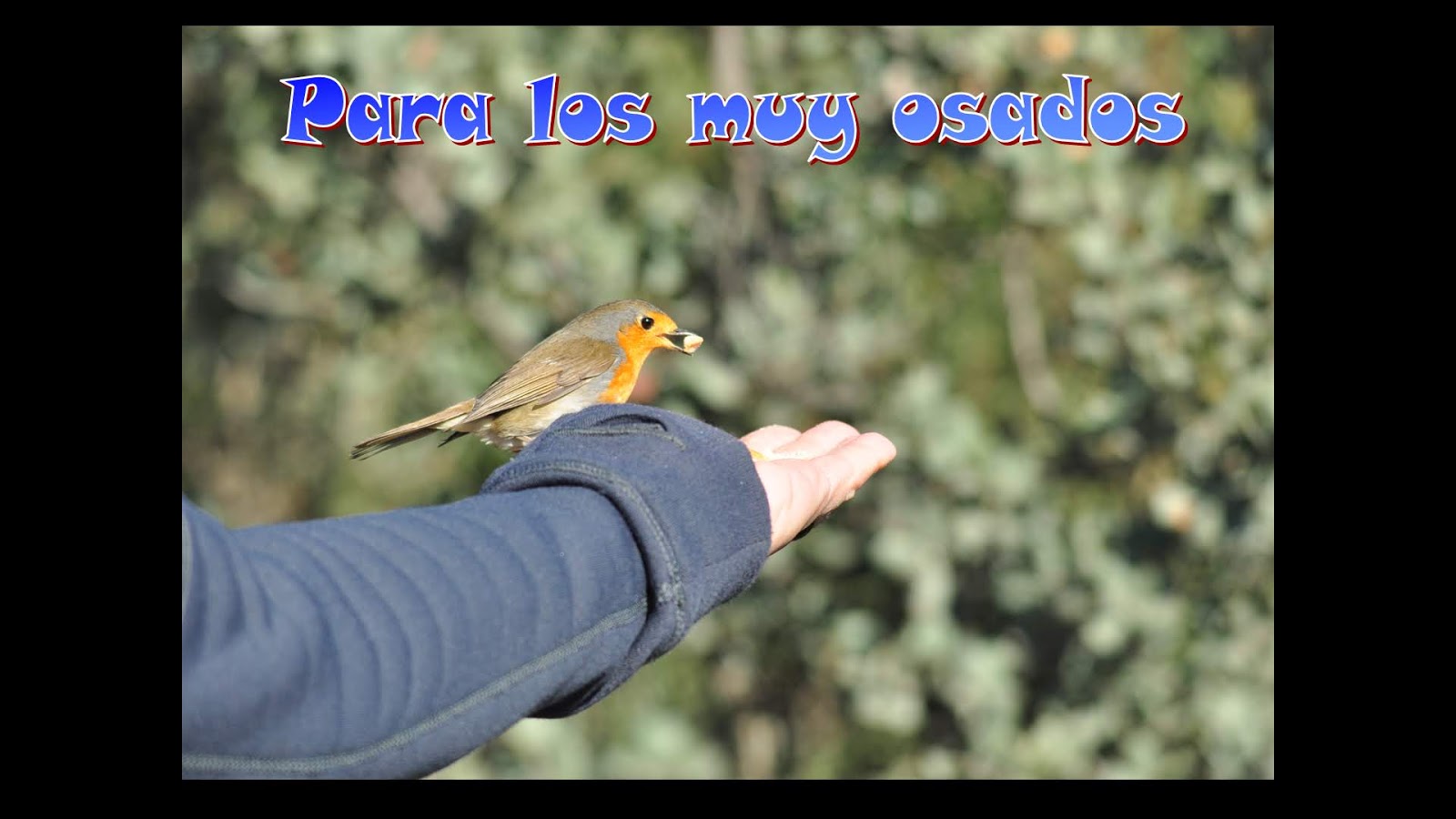 De paseo por la naturaleza: 2018