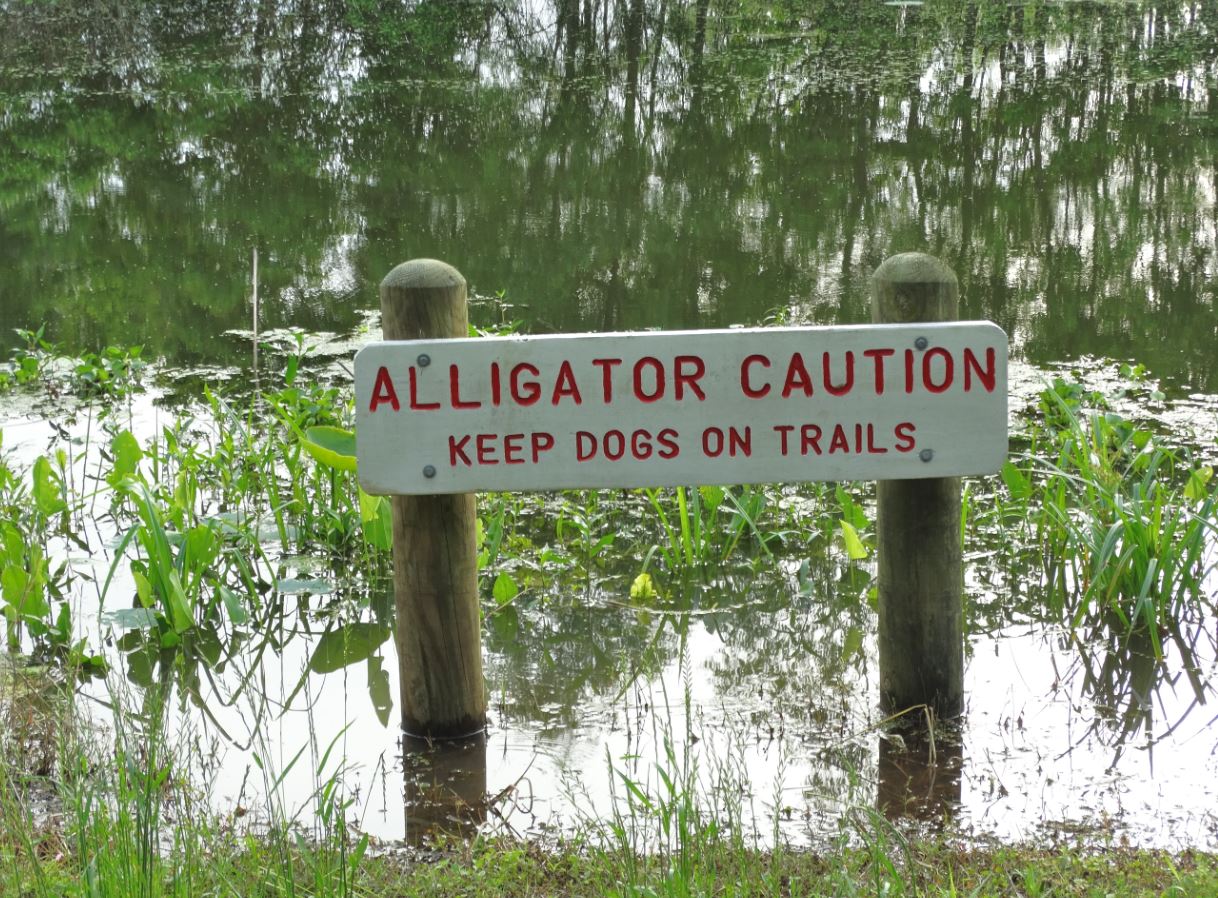 H-Town-West Photo Blog: Alligator warning signs in George Bush Park ...