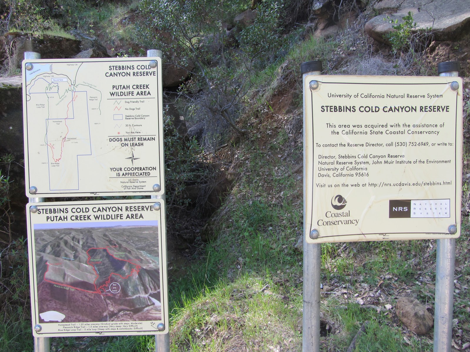 We Be Trekkin: Stebbins Cold Canyon Reserve- Blue Ridge Loop Trail