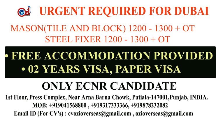 ozi overseas (India's No. 1 immigration and Education Consultants), ozi ...