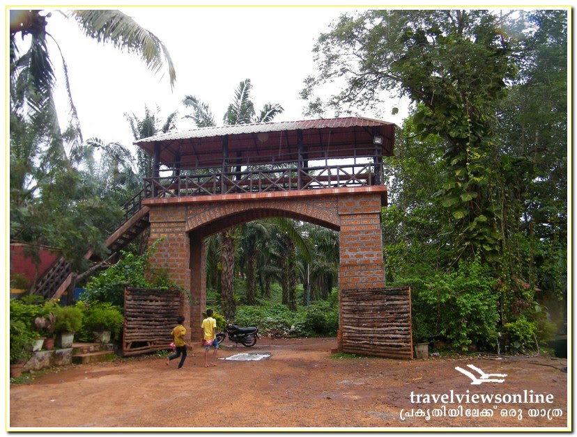 പ്രകൃതിയിലേക്ക് ഒരു യാത്ര (a travel towards NATURE): EZHATTUMUGHAM ...