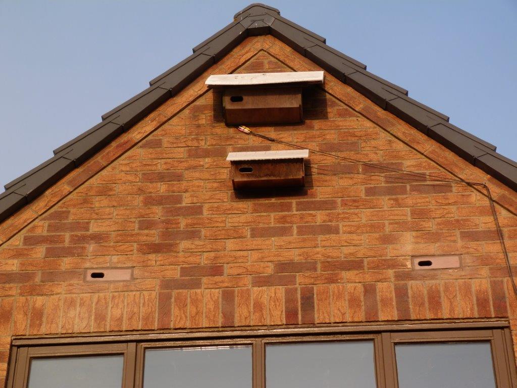 Action for Swifts: First installation of retrofitted S Bricks
