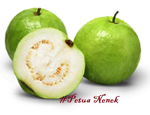 NS ALTERNATIVE HEALTHCARE SOLUTIONS: Khasiat Jambu Batu