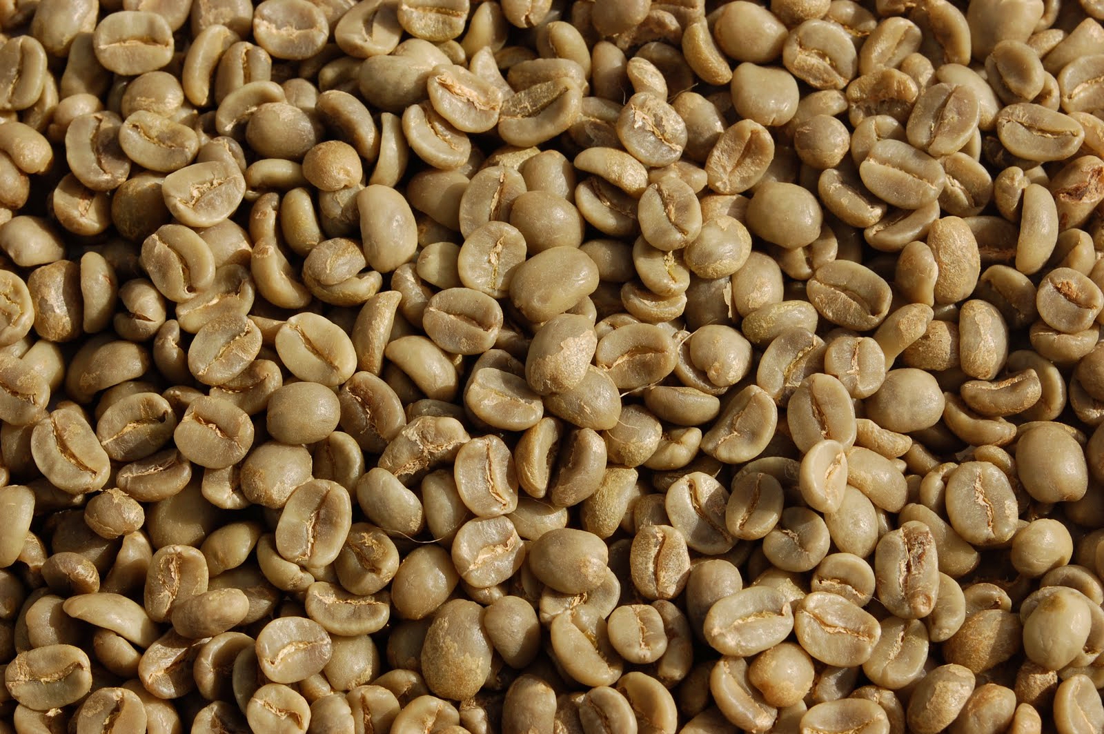 Unión MicroFinanza: UMF 2011-2012 Coffee Transparency Report