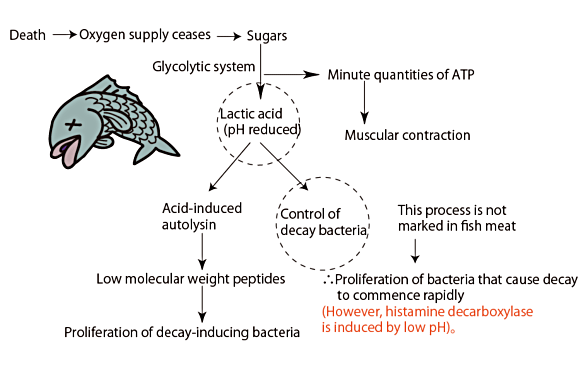 ISO 22000 Resource Center: Histamine Fish Poisoning
