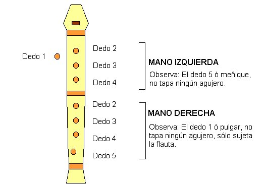 MUSIC: POSICIONES DE LA FLAUTA DULCE