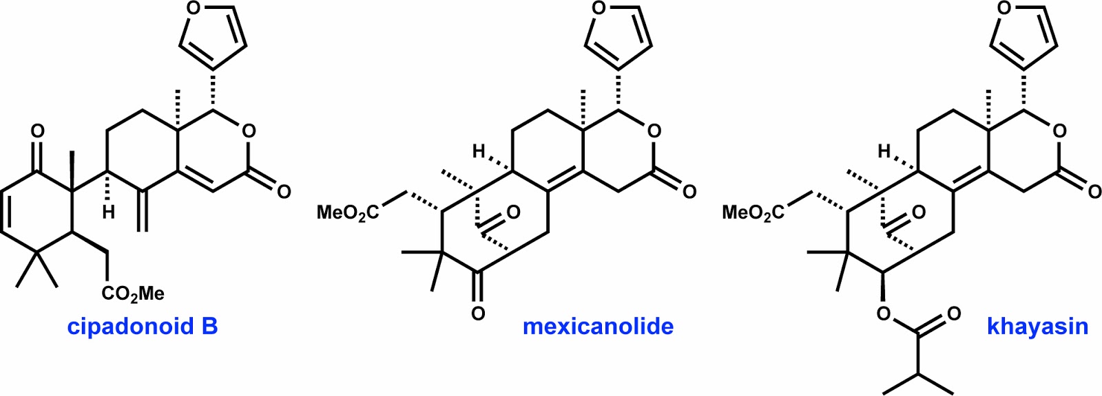 modern steroid science: Limonoids: Total Synthesis of the Mexicanolides