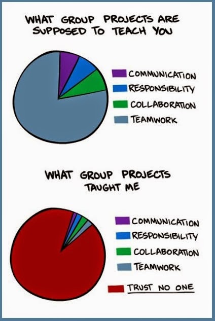 Student Assessment: Meme: Group Work
