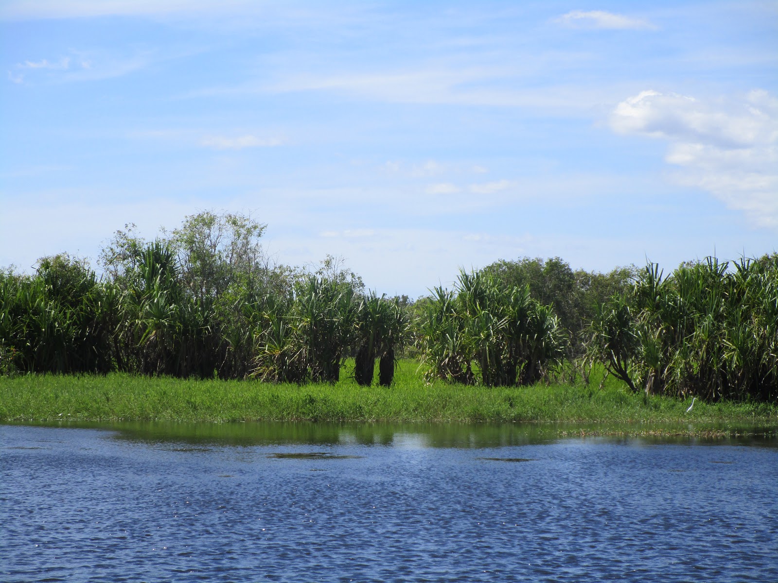 Wetlands, Kakadu National Park, NT