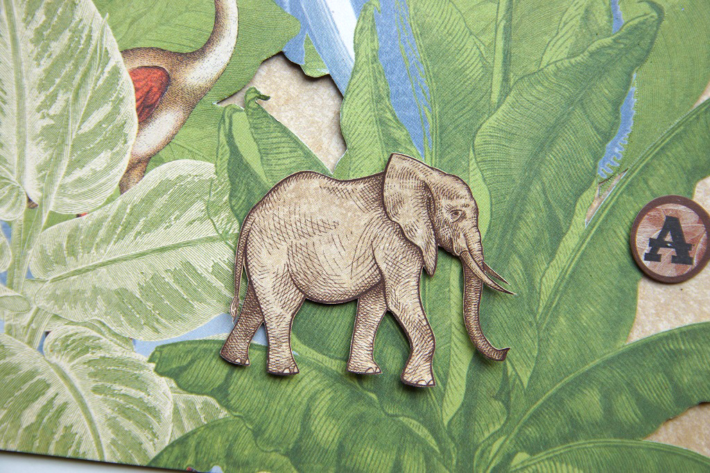 The BoBunny Blog: Elephant Adventure layout with Jungle Life
