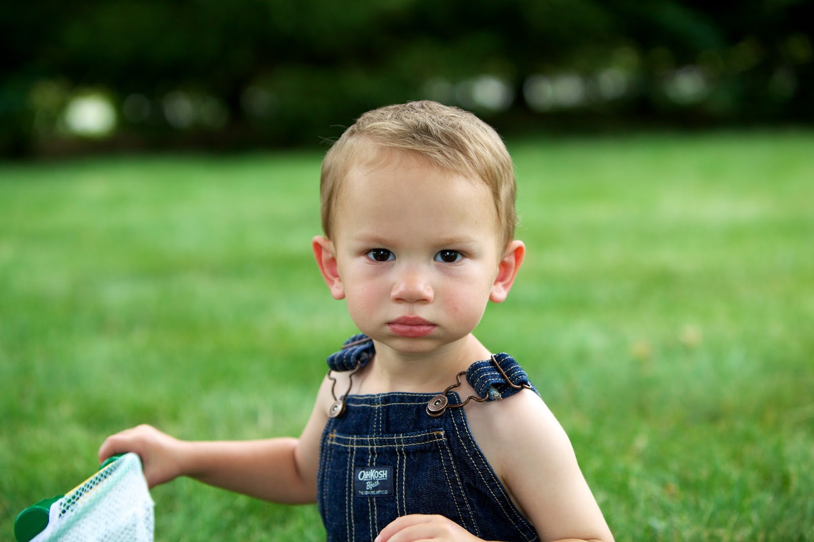 4-Ever-Photos of Indiana Blog: 2 Years old! West Lafayette, Children's ...