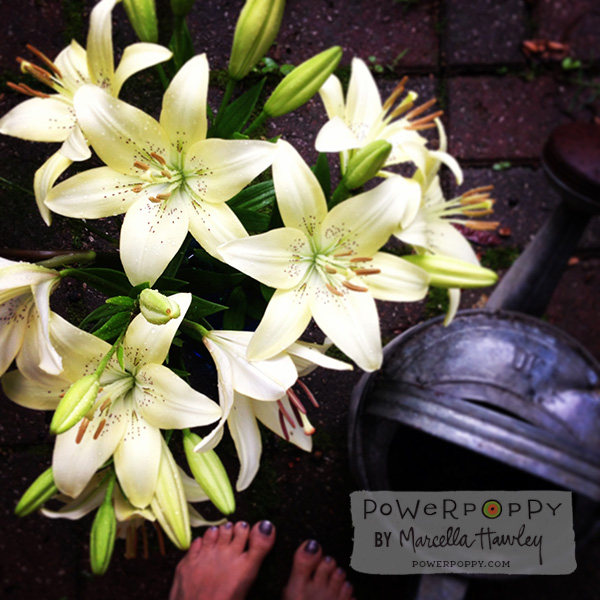 Power Poppy - The Blog: Freshly remixed digital stamp set arrives today ...