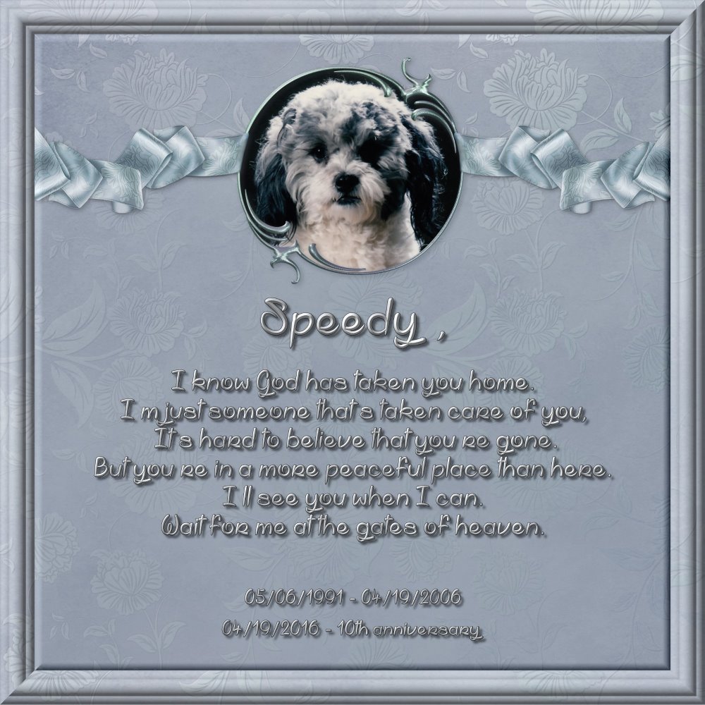 Hundegedichte & mehr / Dog poems & more: April 2016