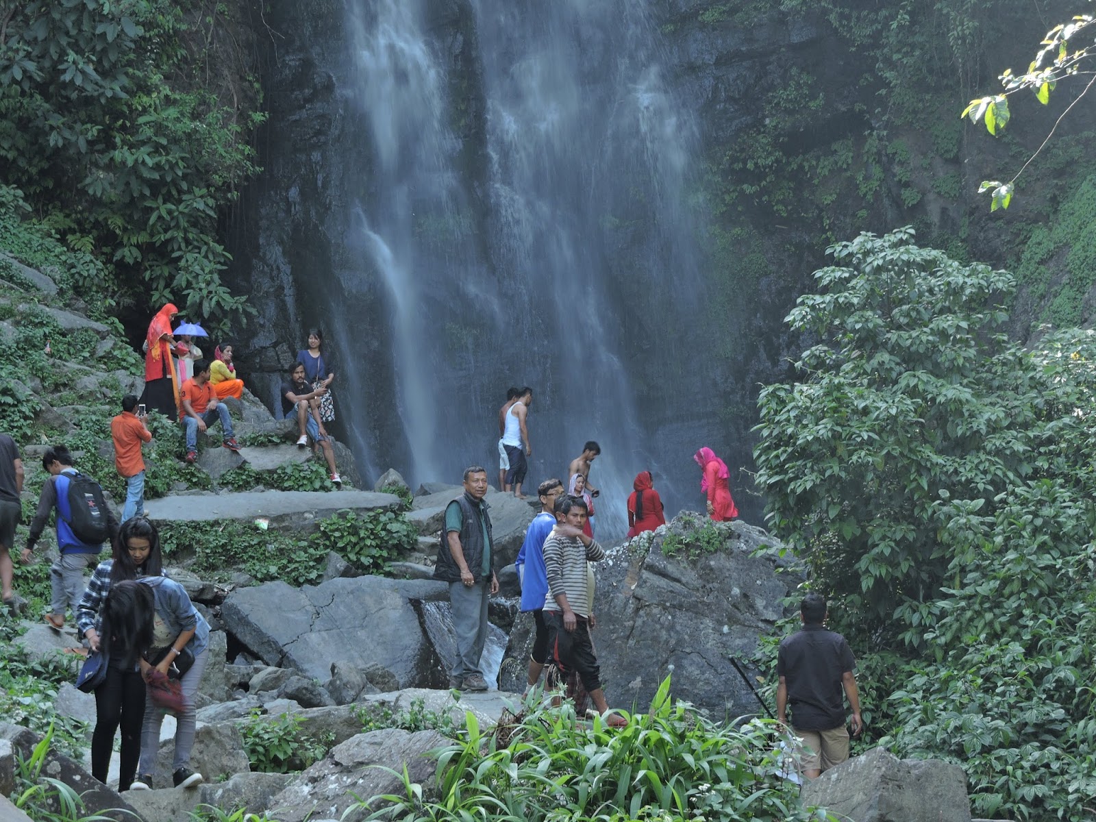 THE BUTTERFLIES OF MANIPUR : The Butterflies of Sadu-Chiru Waterfall: A ...