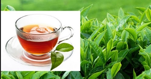 Ceylon Tea