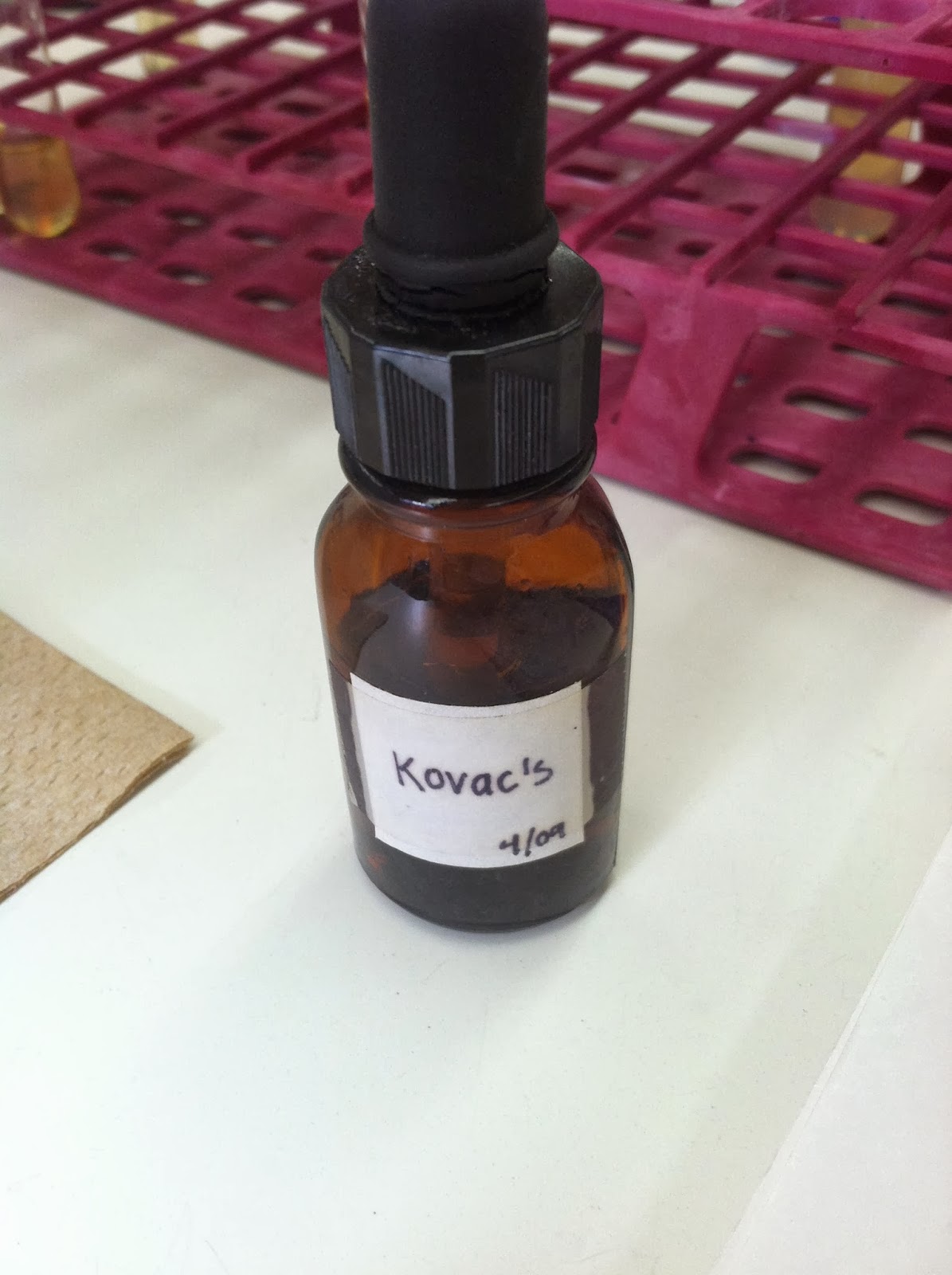 Rose & Lindsey's Medical Microbiology Blog: Indole (Tryptophan ...