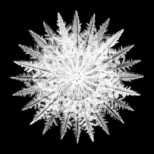 Lori's PSP Graphics: 5 FREE Masks!!