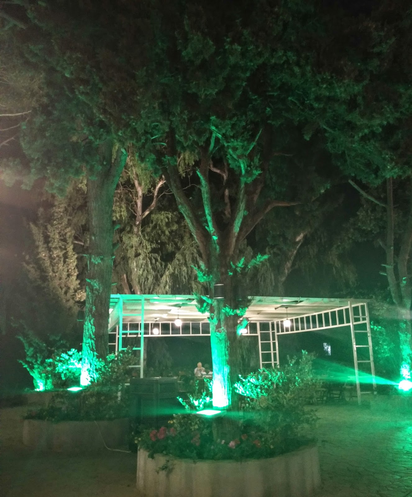 A Hidden Gem Among the Pines of Broumana