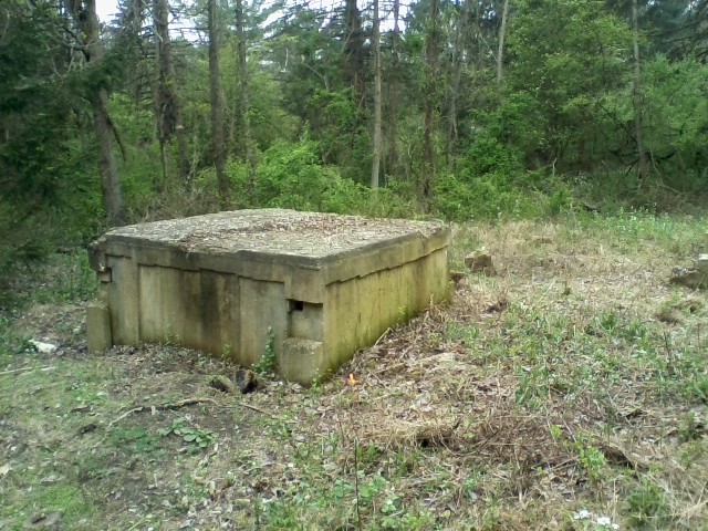 Camp Michaux: Cumberland County's secret WW2 POW camp